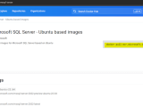 Run Ms Sql Server On Docker рџ
